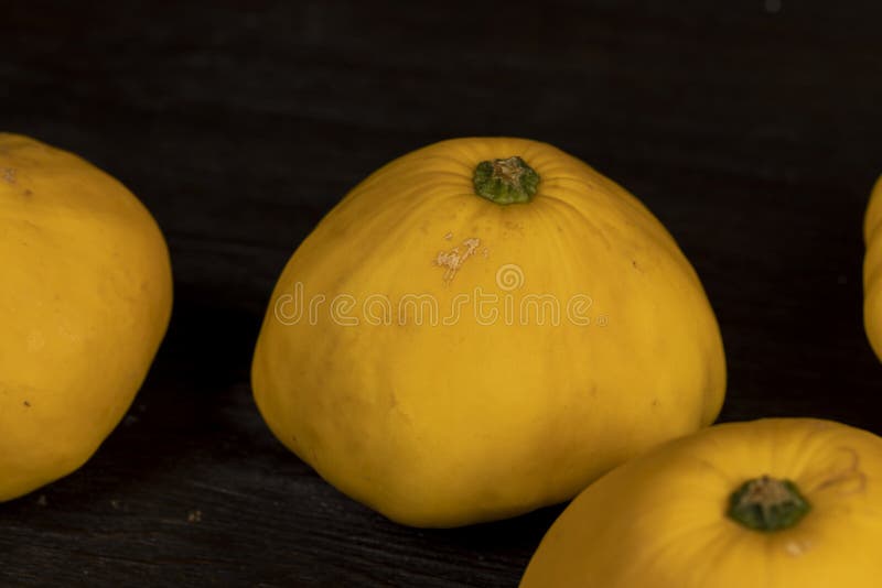 Small Delicious Ripe Yellow Squash Stock Photo - Image of season ...
