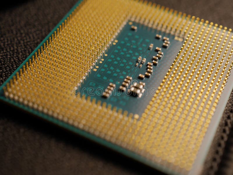 Gold-plated CPU Legs Close-up. Accessories Stock Photo - Image of close ...