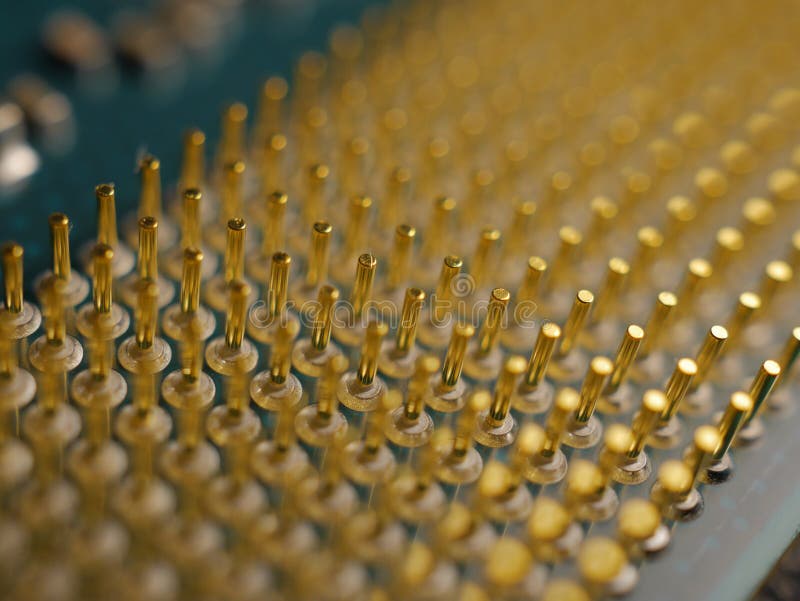 Gold-plated CPU Legs Close-up. Accessories Stock Image - Image of ...