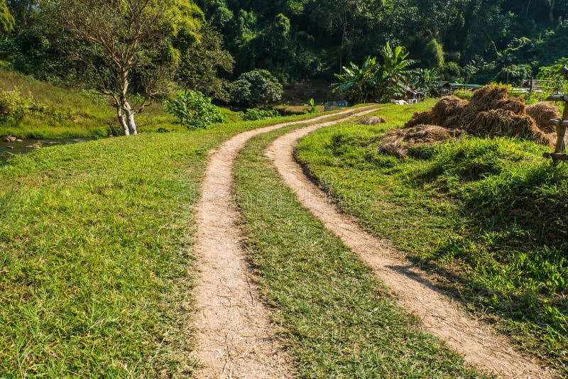 A Small Dirt Road that Curves Heading To the Forest Stock Photo - Image ...