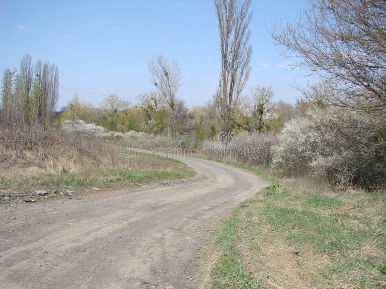 Small Dirt Road through Green Fields, Spring Landscape Stock Image ...