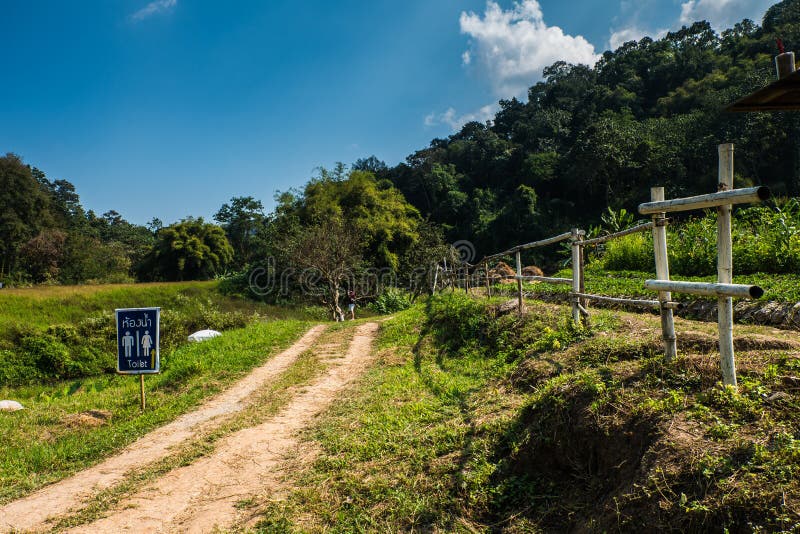 A Small Dirt Road that Curves Heading To the Forest Stock Photo - Image ...