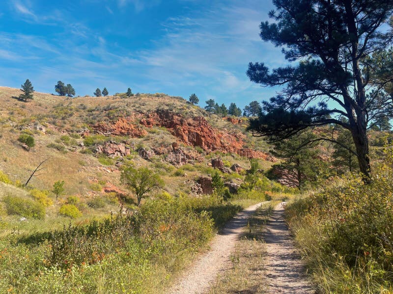 Small Dirt Road Winding through Fields and Forests in a Mountainous ...