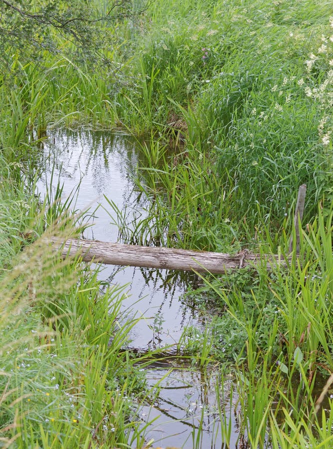 Small ditch and a plank stock photo. Image of season - 57747510