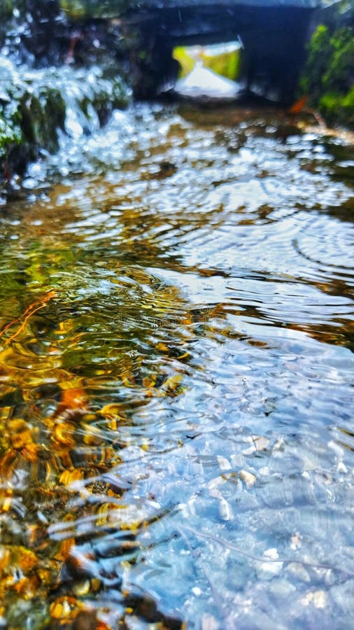Clear Water in the Sewer Drain 1 Stock Image - Image of nature, pond ...
