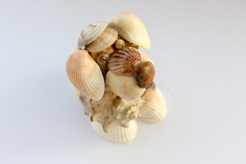 A Small Dog is Made of Sea Shells. Stock Image - Image of decoration ...