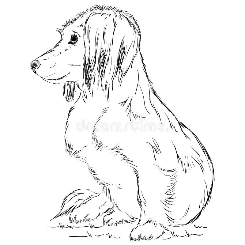 Small dog stock vector. Illustration of portrait, cute - 48809775