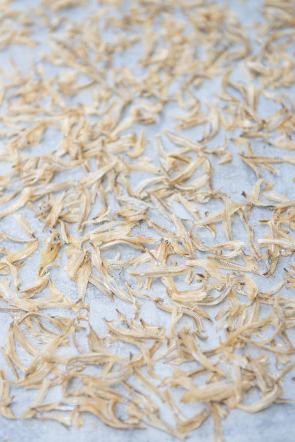 Small dried anchovies stock image. Image of food, appetizer - 75804675