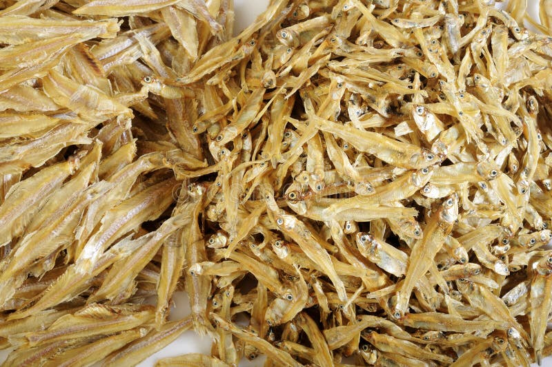 Small dried fish stock photo. Image of seafood, fish - 54548628