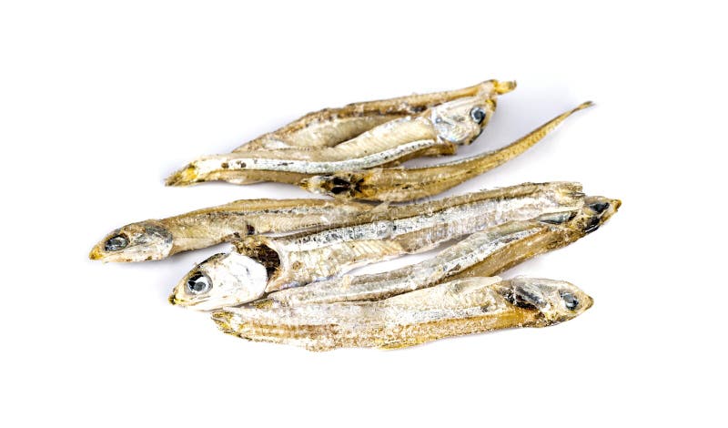 Small Dried Fish on White Background Stock Photo - Image of salted ...