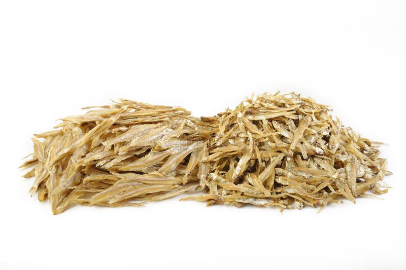 Small dried fish stock photo. Image of pattern, fish - 54646550