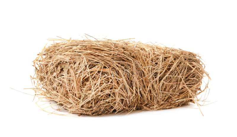 Small Dried Hay Bale on White Background Stock Photo - Image of grass ...