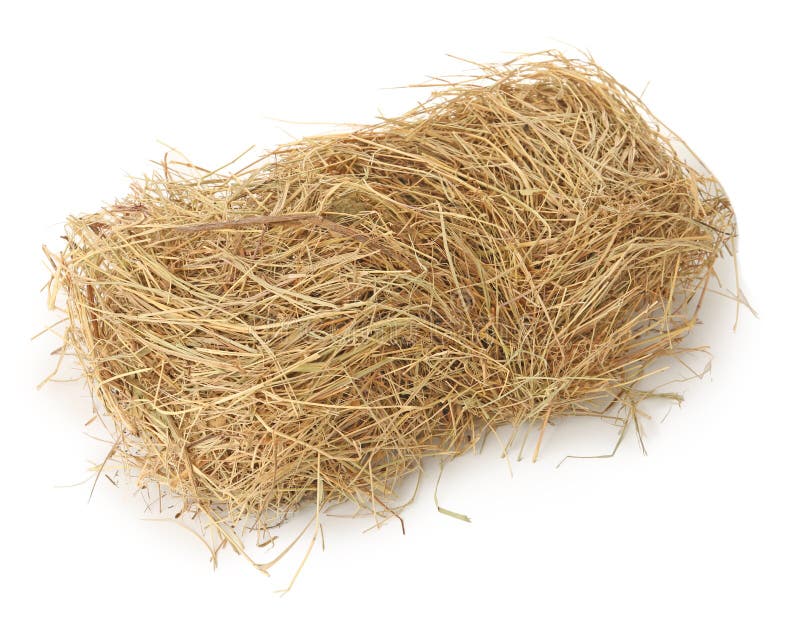 Small Dried Hay Bale on White Background Stock Photo - Image of ...