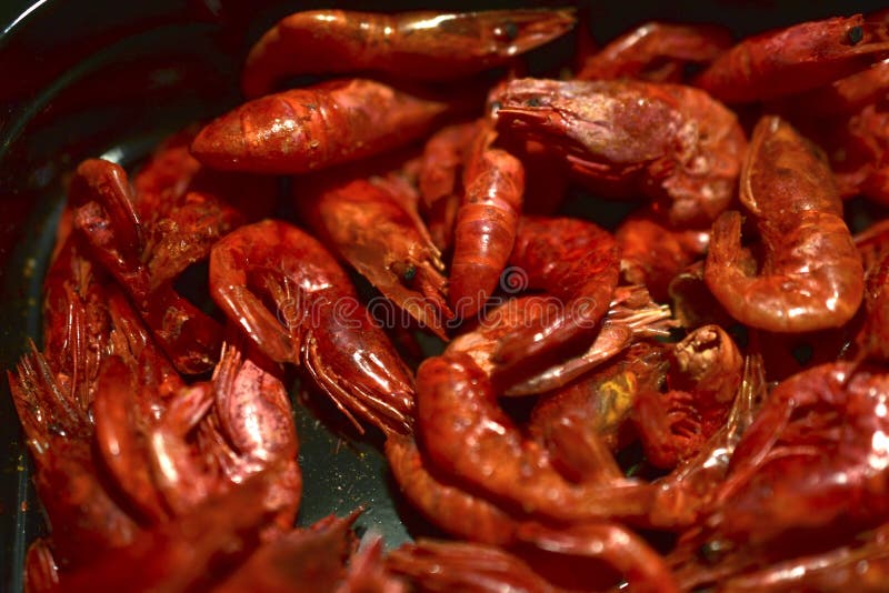 Small Dried Red Shrimp with Pepper for Beer Stock Image - Image of ...