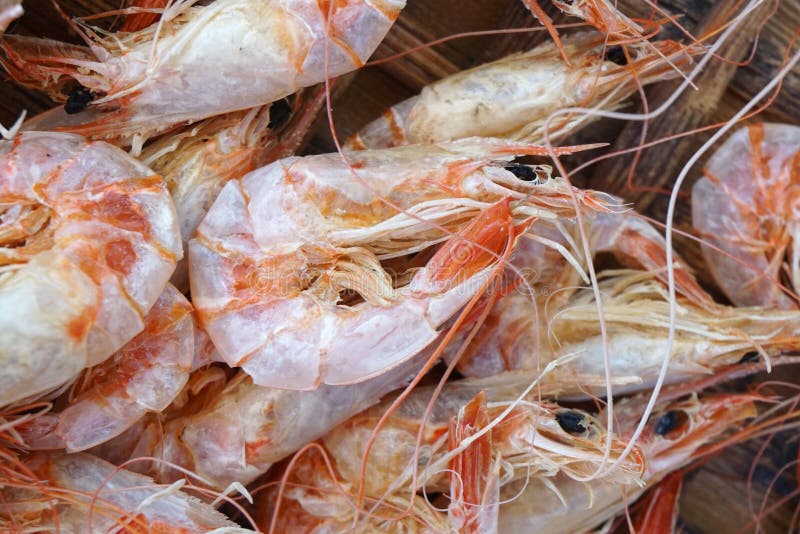Small Dried Shrimp for Cooking Stock Image - Image of close, seafood ...