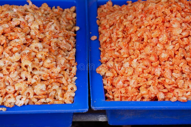 Small Dried Shrimp for Cooking at Market Stock Photo - Image of shrimp ...