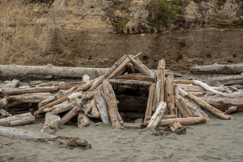 Small Drift Wood Structure on Beach in Olympic Stock Image - Image of ...