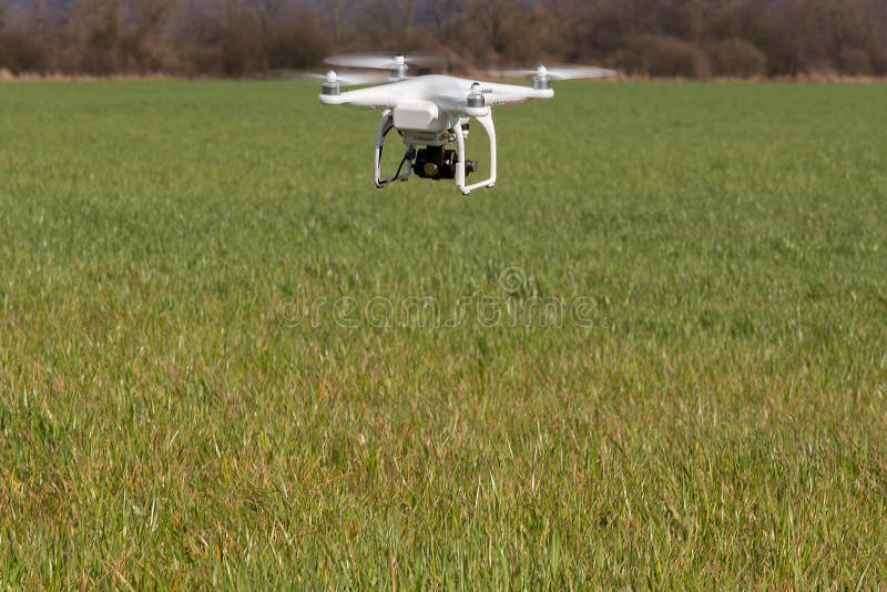 Small Drone Above the Field Stock Image - Image of robot, rotor: 52688049