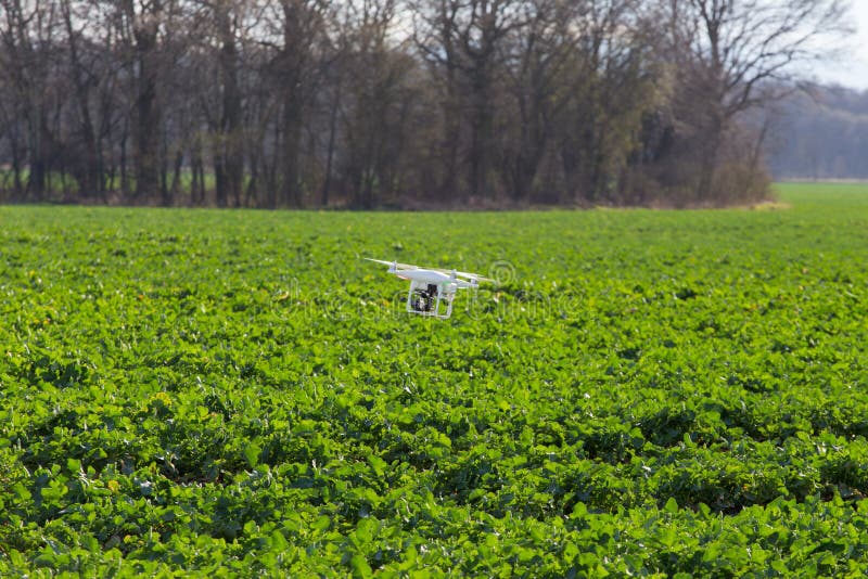 Small Drone Above the Field Stock Photo - Image of flying, movie: 52704018