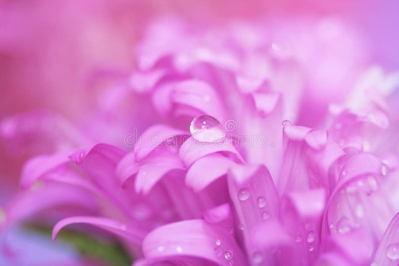 Small drop stock photo. Image of multi, meadow, abstract - 20969092
