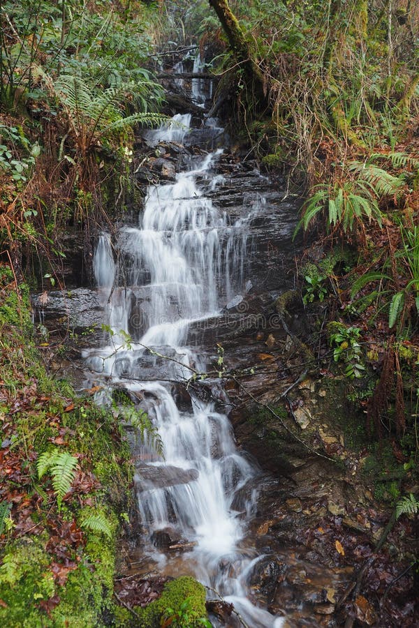 A Small Drop of Water Quickly Going Down the Mountain Stock Image ...