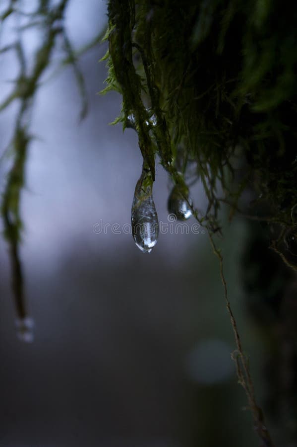 Small droplet of water stock photo. Image of drop, white - 238258034