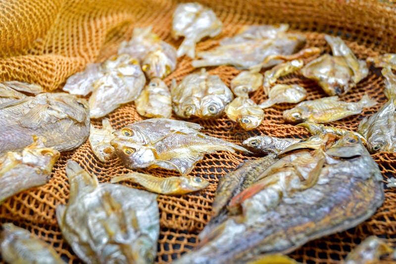 Small dry fish on the net stock photo. Image of fish - 95604118