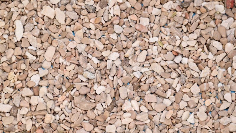 Small dry pebbles close-up stock video. Video of grey - 357957195
