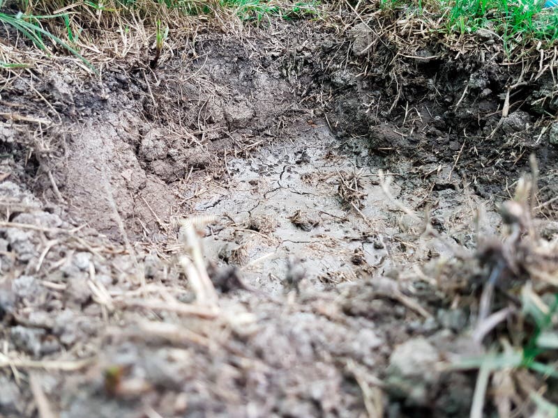 3,359 Shallow Soil Photos - Free & Royalty-Free Stock Photos from ...