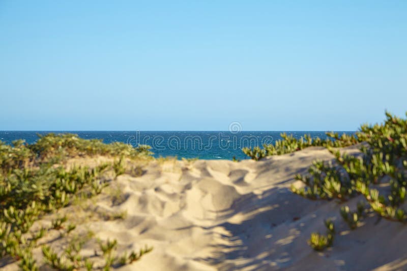 Small sand dunes on beach. stock image. Image of sunlight - 71951149
