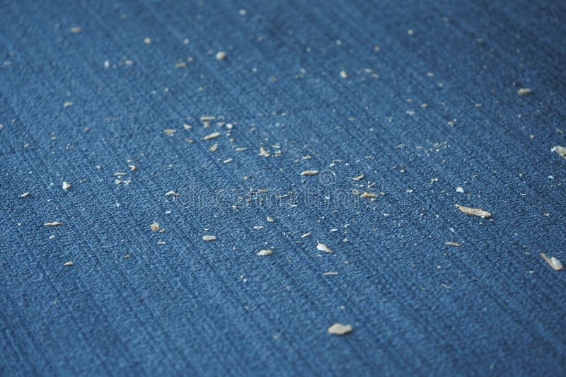 Small Dust Particles on a Blue Fabric Surface are Visible To the Eye ...