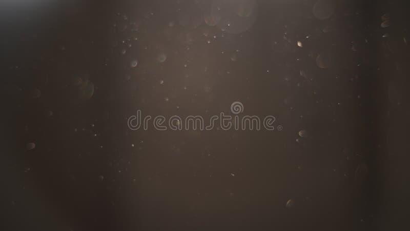 Small Dust Particles Floating in the Morning Sunlight Rays Stock ...