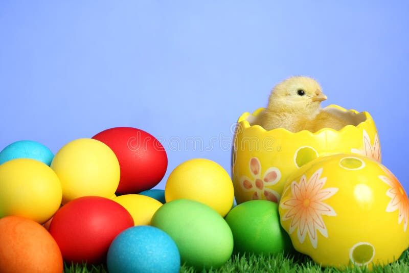 Small easter chicken stock photo. Image of close, yellow - 13056028