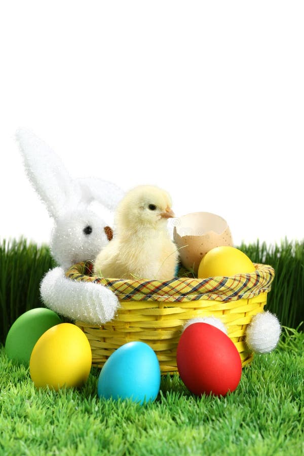 Small easter chicks stock image. Image of background - 13055697