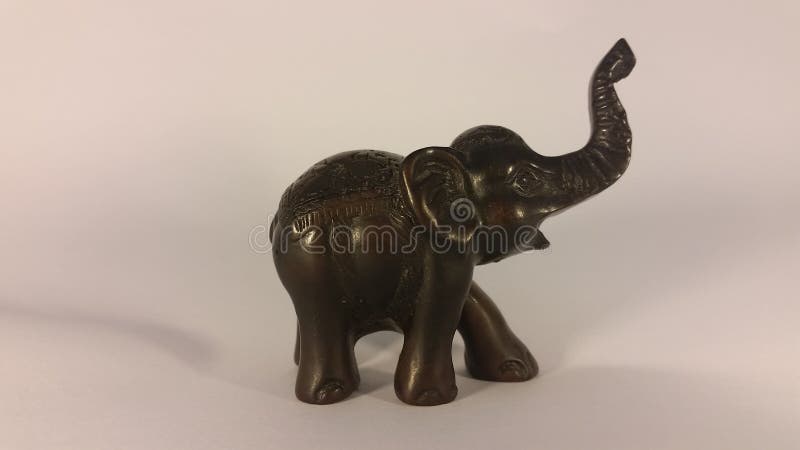 Small elephant stock photo. Image of life, elephant, small - 72340068