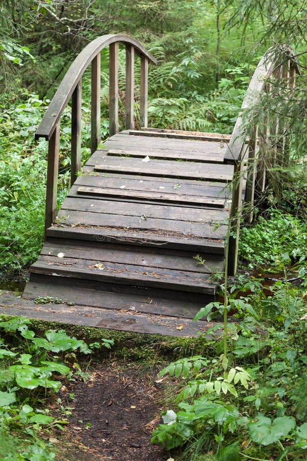 Small Empty Wooden Bridge in Forest Stock Photo - Image of pedestrian ...