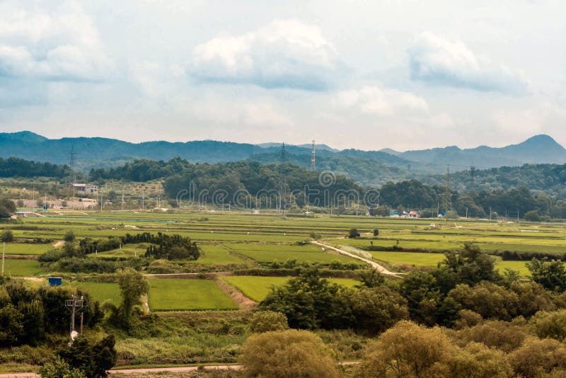 Small Family Graveyard Surrounded by Trees in Mist of Rice Paddies ...