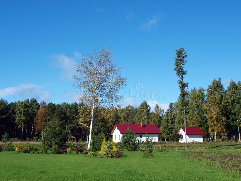 Small farm stock image. Image of house, roof, trees, forest - 34004777