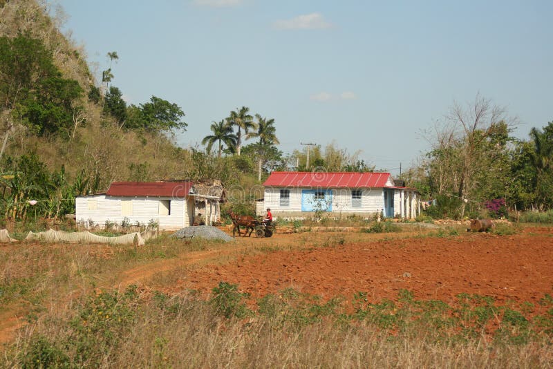 Small farm in Cuba editorial stock image. Image of fields - 87272109