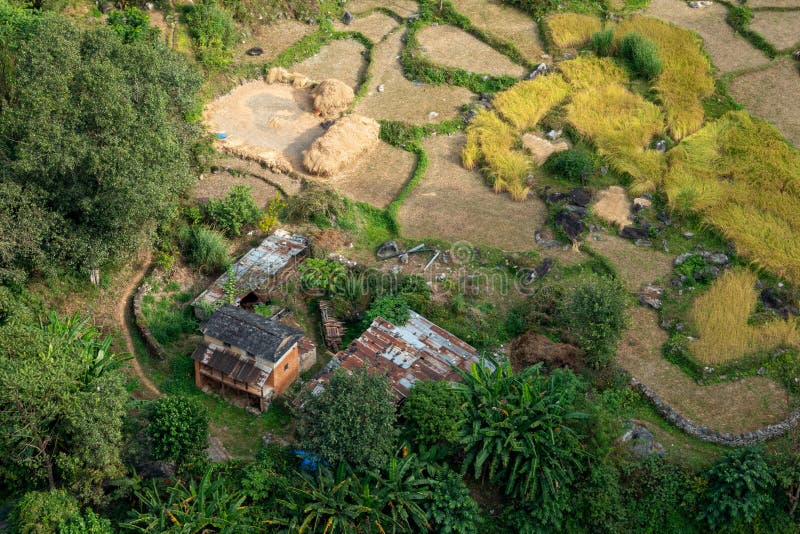 Small Farm in Nepal from the Air Stock Photo - Image of high, view ...