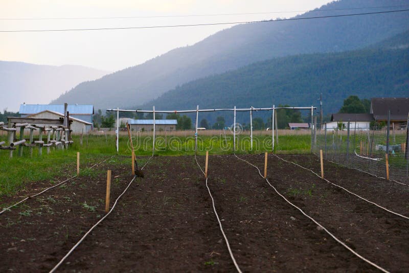 Small farm stock image. Image of agronomy, natural, field - 42658623