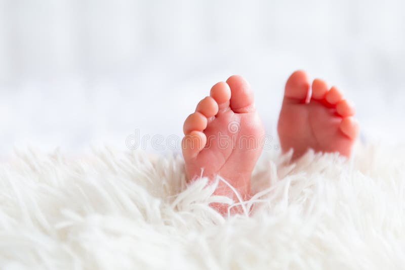 Small feet of newborn baby stock image. Image of body - 57906513