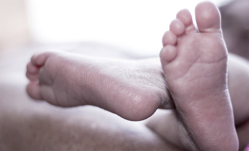 Small feet of newborn stock photo. Image of branca, nascida - 92760522