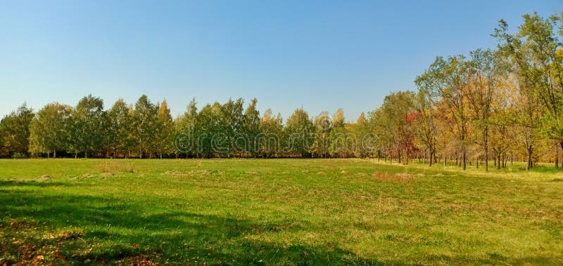 Small Field, Meadow, Surrounded by Trees. Stock Image - Image of ... Small Field, Meadow, Surrounded by Trees. Stock Image - Image of ...
