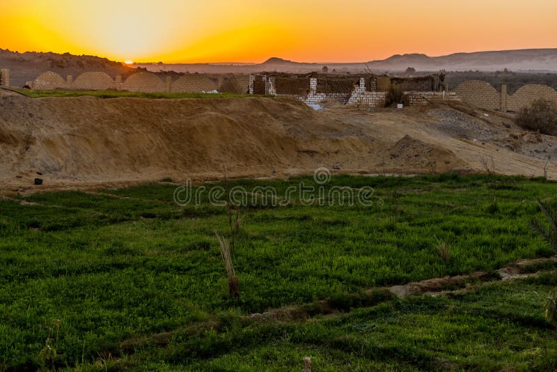 Small Fields in Bahariya Oasis, Egy Stock Image - Image of natural ...