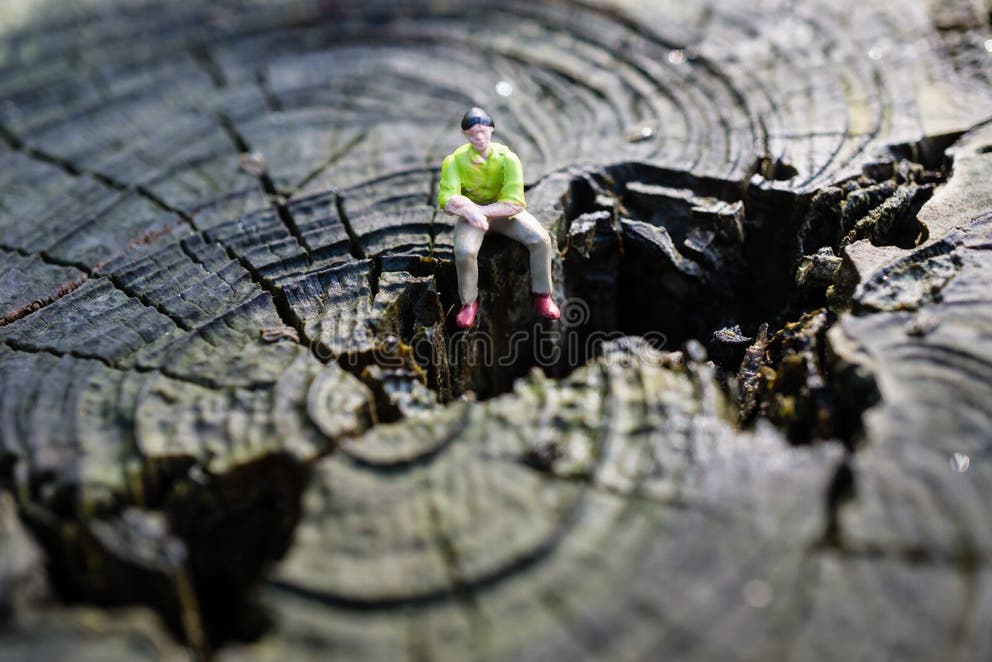Small figure on tree stump stock image. Image of crack - 38715891