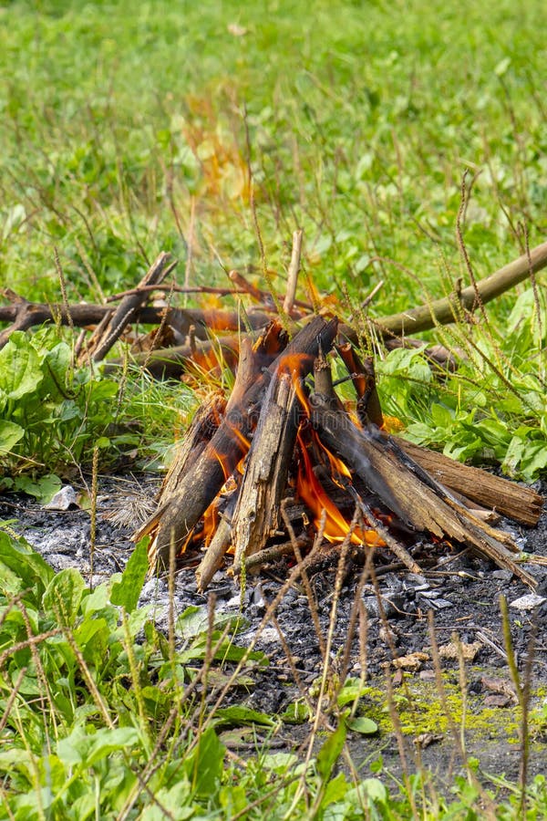 A Small Fire of Branches is Burning in a Forest Clearing Stock Photo ...