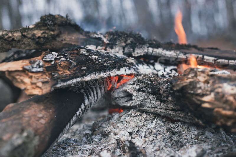 A small fire is burning stock image. Image of butts - 262472951