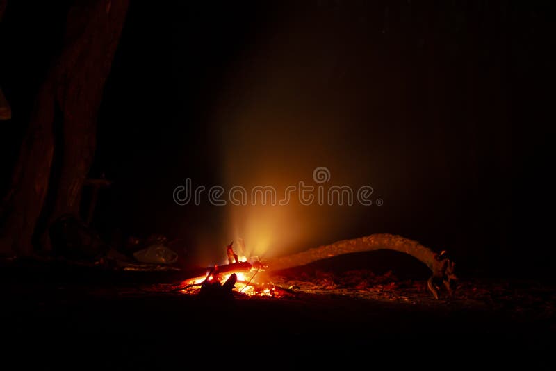 A small fire is burning stock photo. Image of bright - 262472636