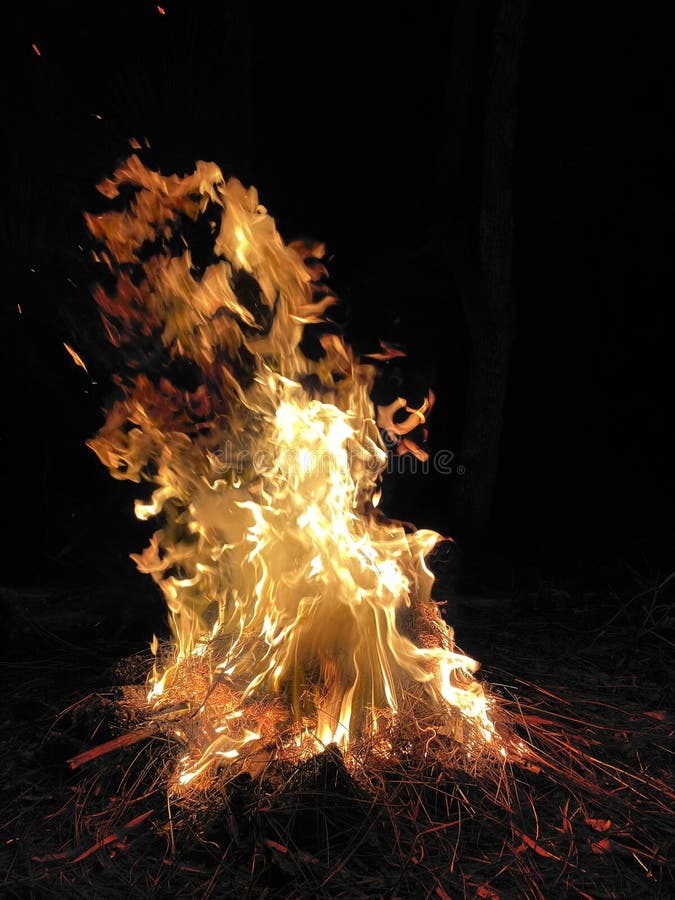 A Small Fire that is Burning Up into Flames and Dark Stock Photo ...